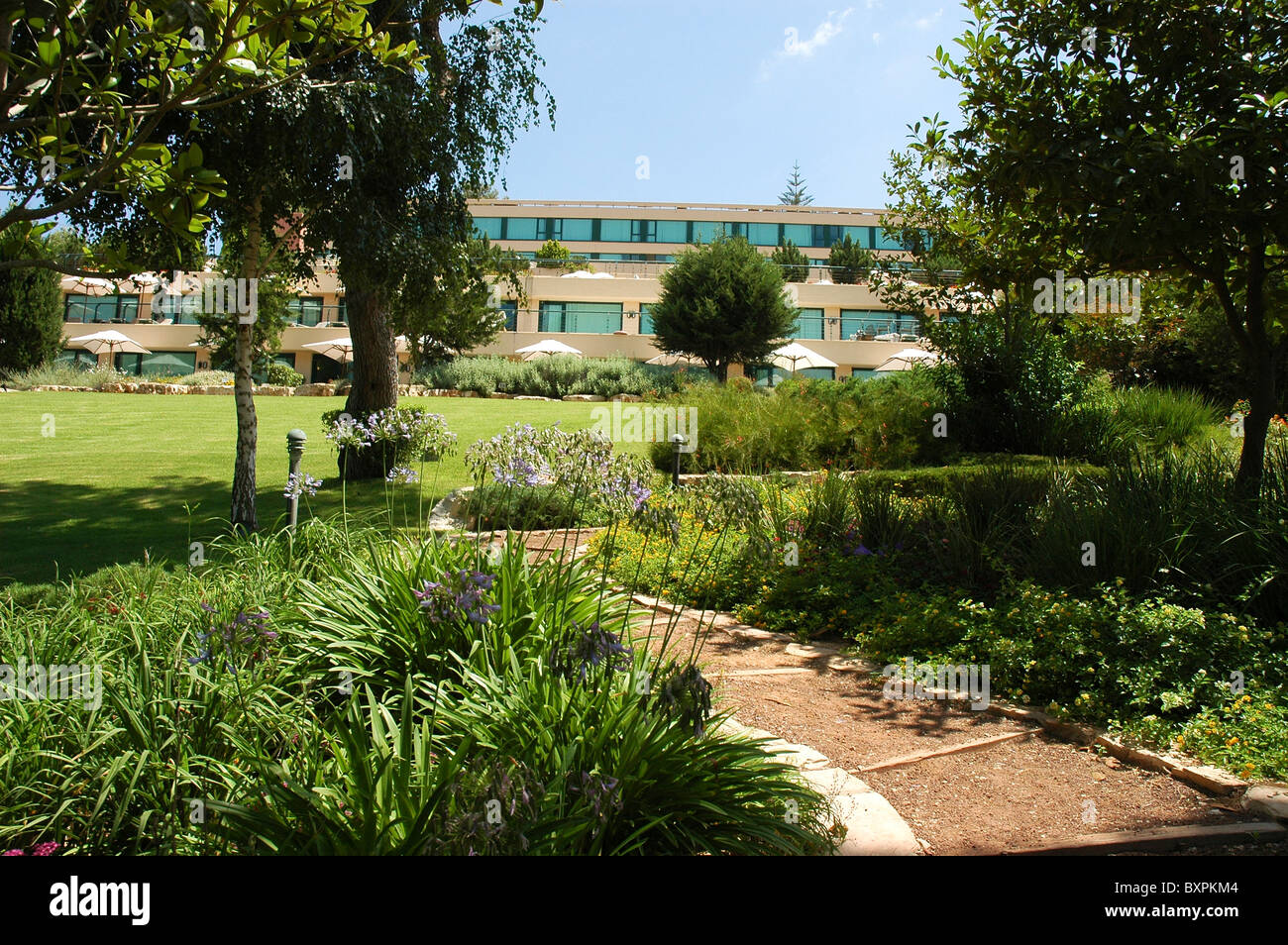 Yaarot Hacarmel (Carmel Forest) Hotel Carmel Mountain, Israel Stock ...