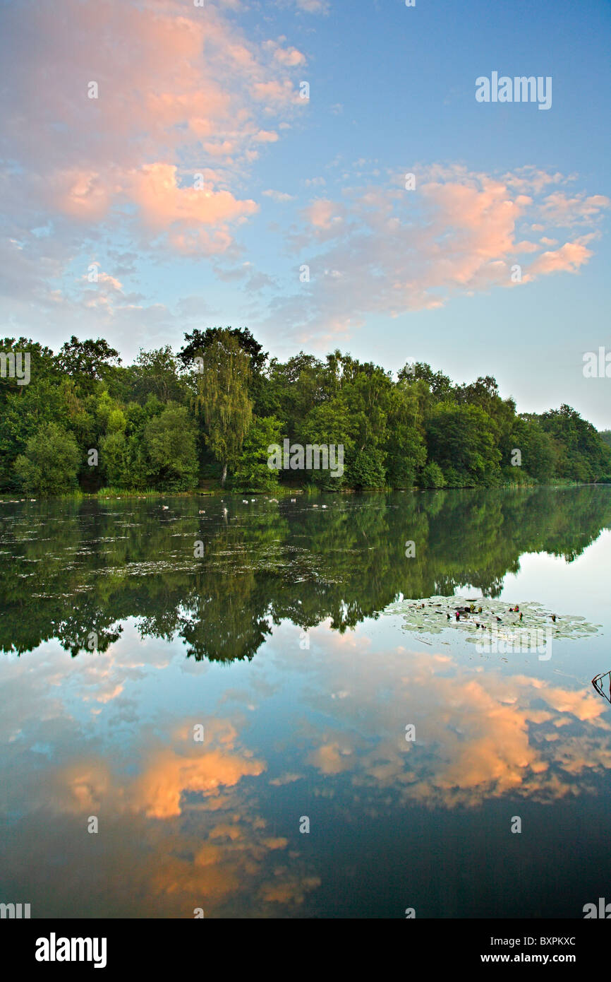 Dawn reflections in Cannop Pond near Cinderford, Gloucestershire ...