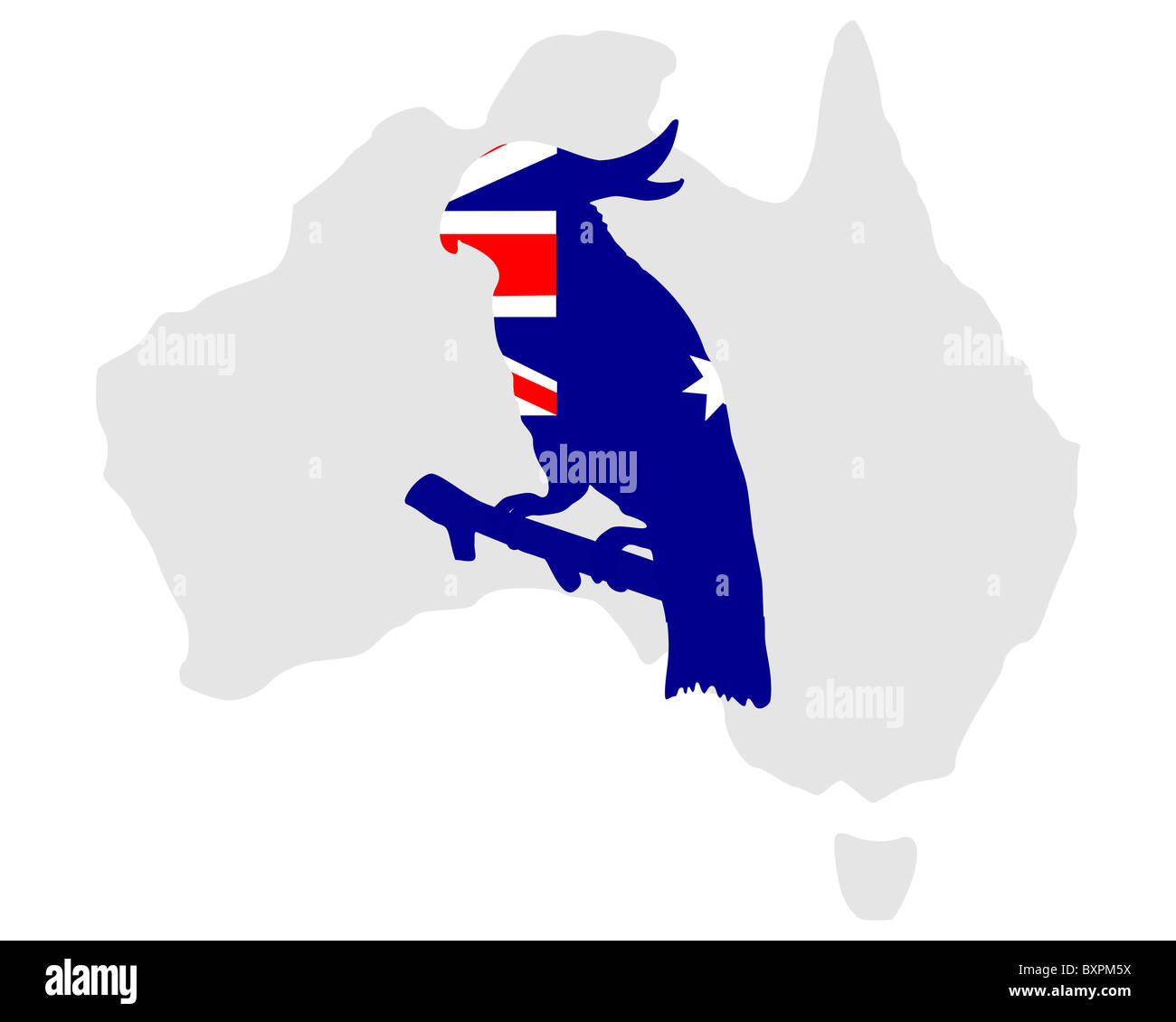Galah cockatoo australia Cut Out Stock Images & Pictures - Alamy