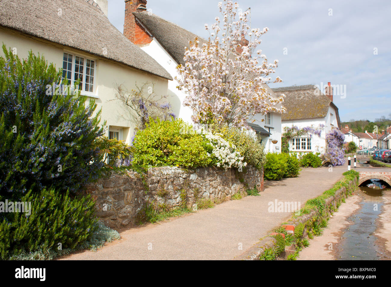 Otterton, Devon High Resolution Stock Photography and Images - Alamy