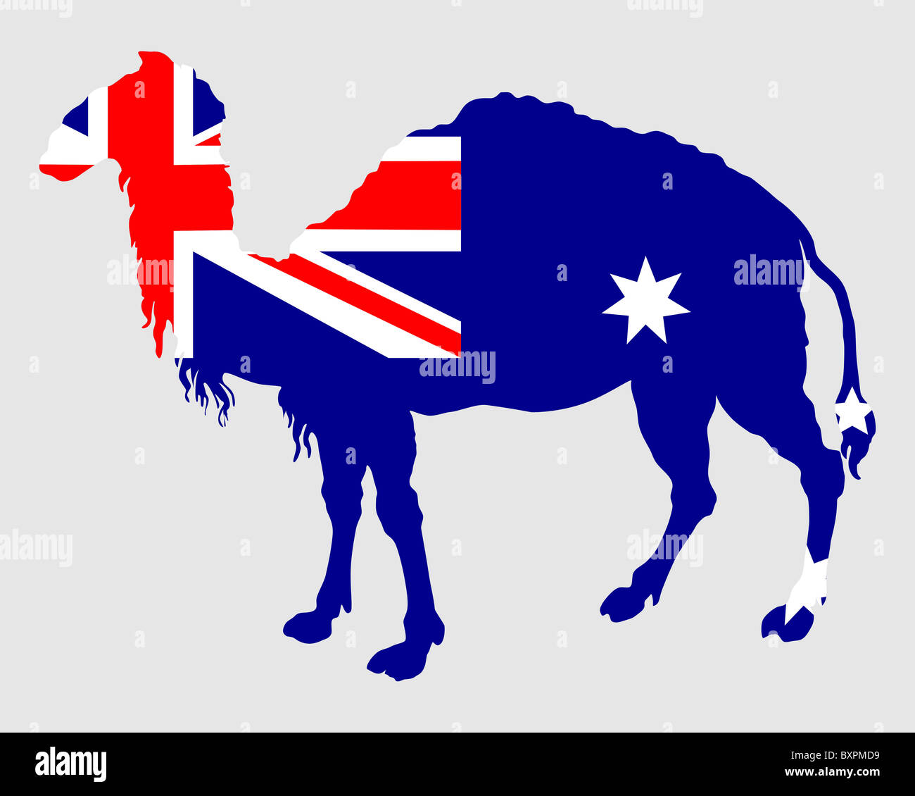Flag of Australia with camel Stock Photo - Alamy