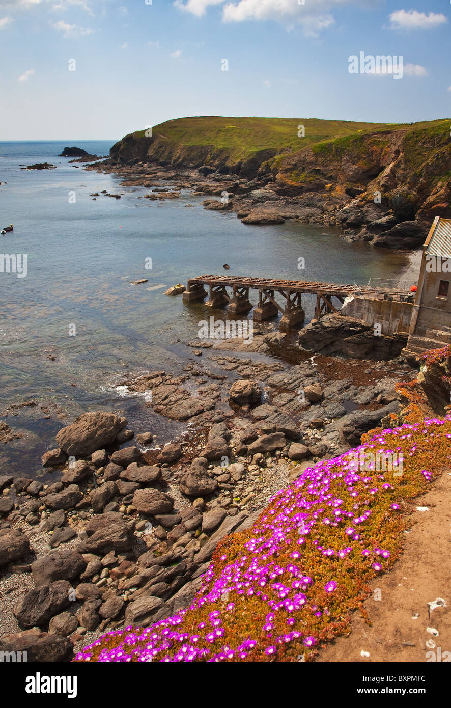 The Lizard Point, Cornwall, England, UK Stock Photo - Alamy