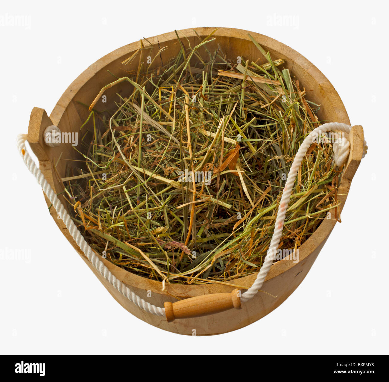 A bucket full of hay over white background Stock Photo - Alamy