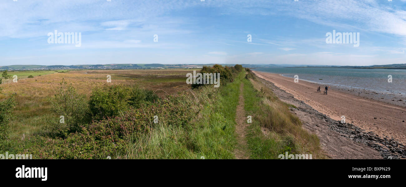 crow point on the estuary of the river taw braunston burrows nature ...