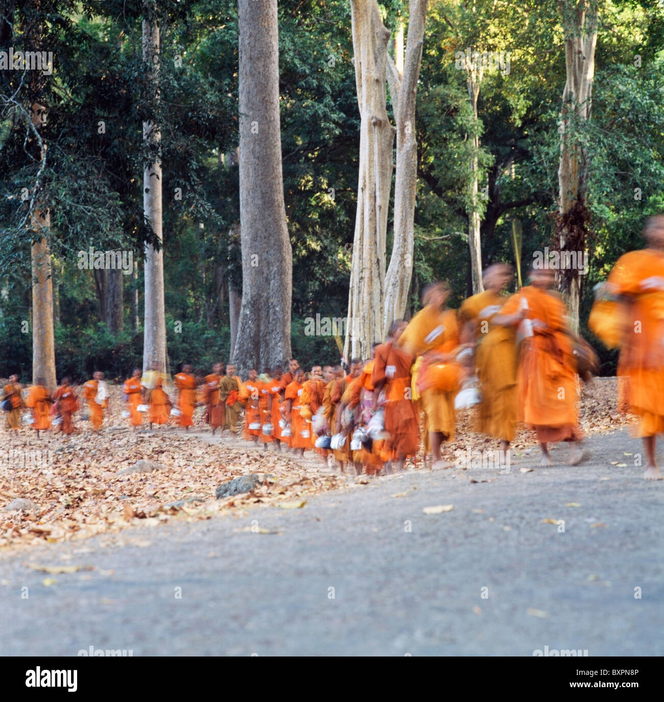 Buddhist Monks Walking In Line Through Forest Stock Photo - Alamy