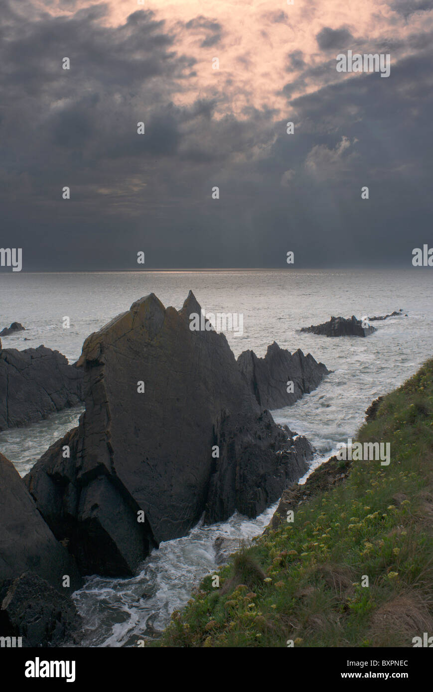rocks and sea hartland quay devon Stock Photo - Alamy