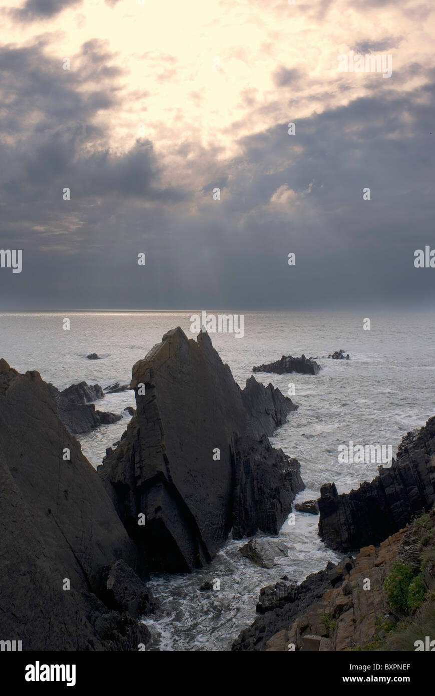 rocks and sea hartland quay devon Stock Photo - Alamy