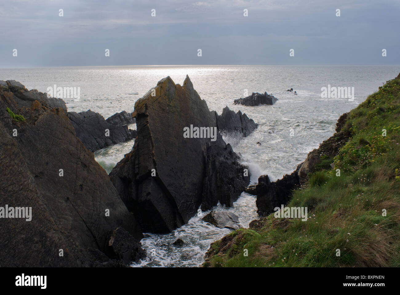 rocks and sea hartland quay devon Stock Photo - Alamy