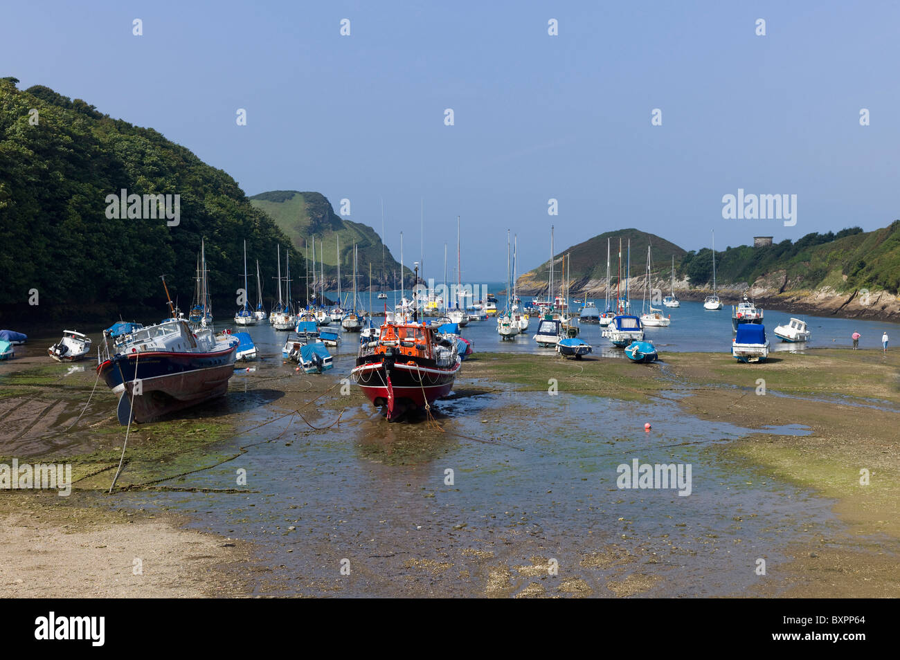 Devon fishing ports hi-res stock photography and images - Alamy