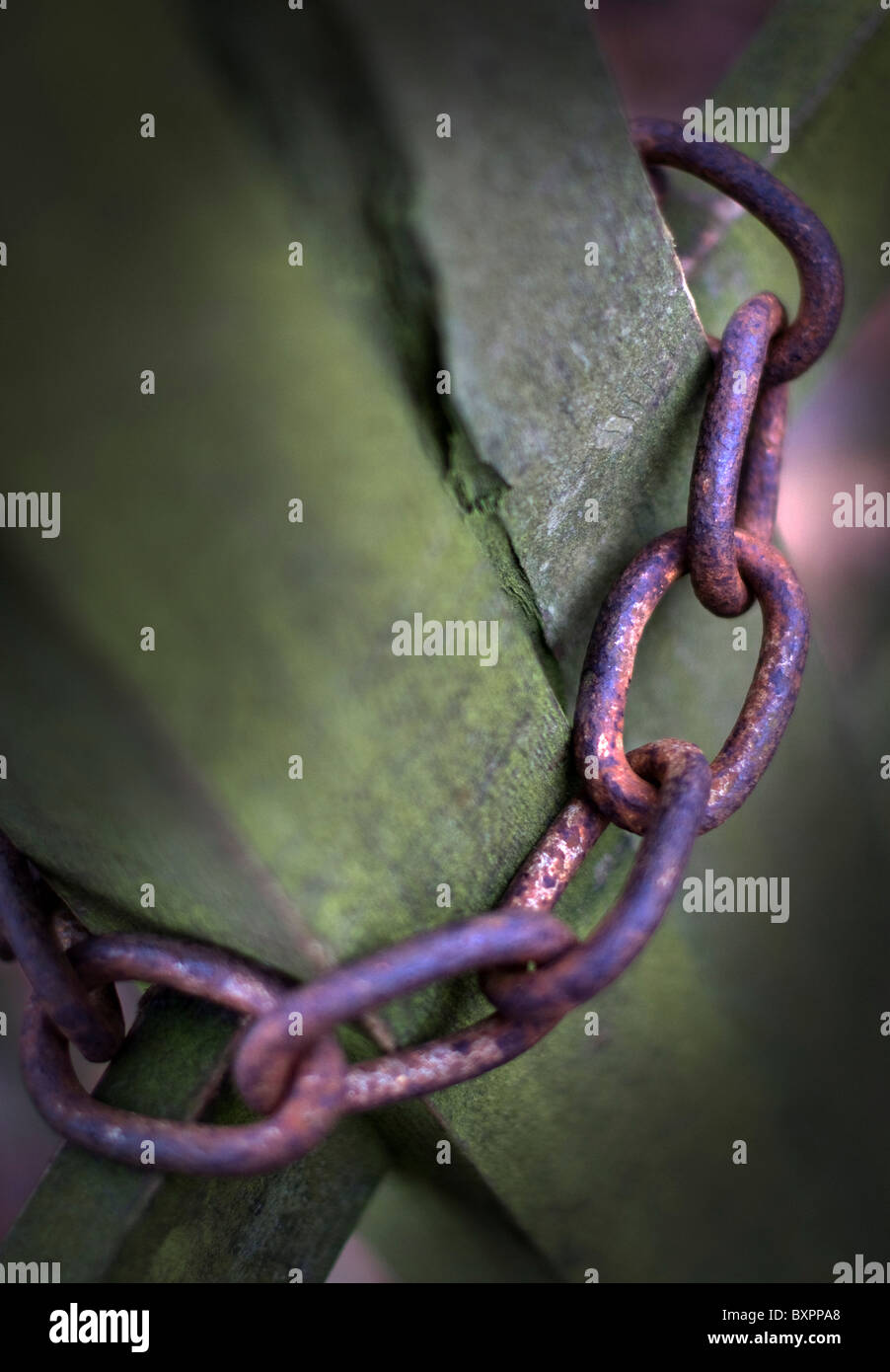 Secured gate hi-res stock photography and images - Alamy