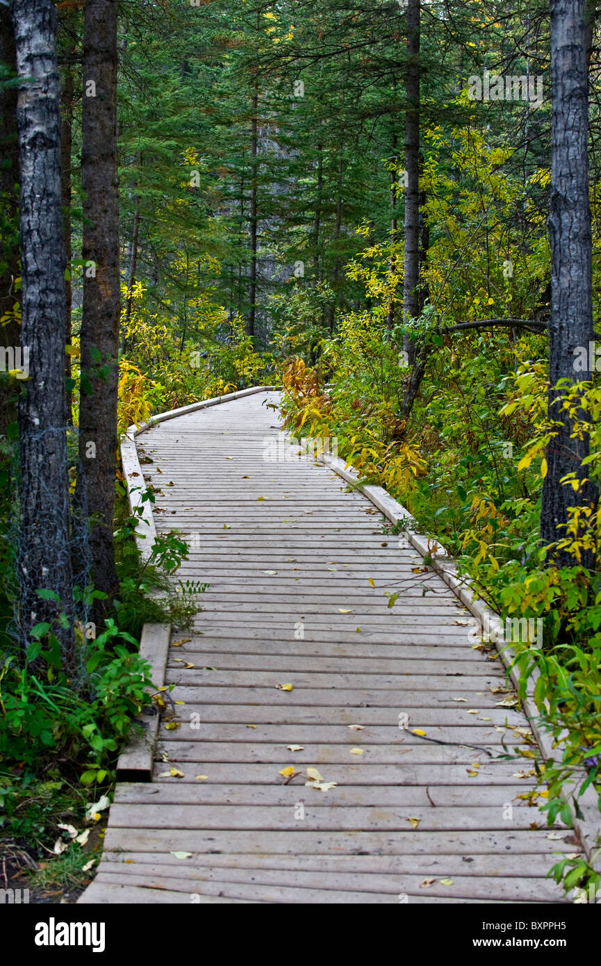 Curved hiking trail hi-res stock photography and images - Alamy