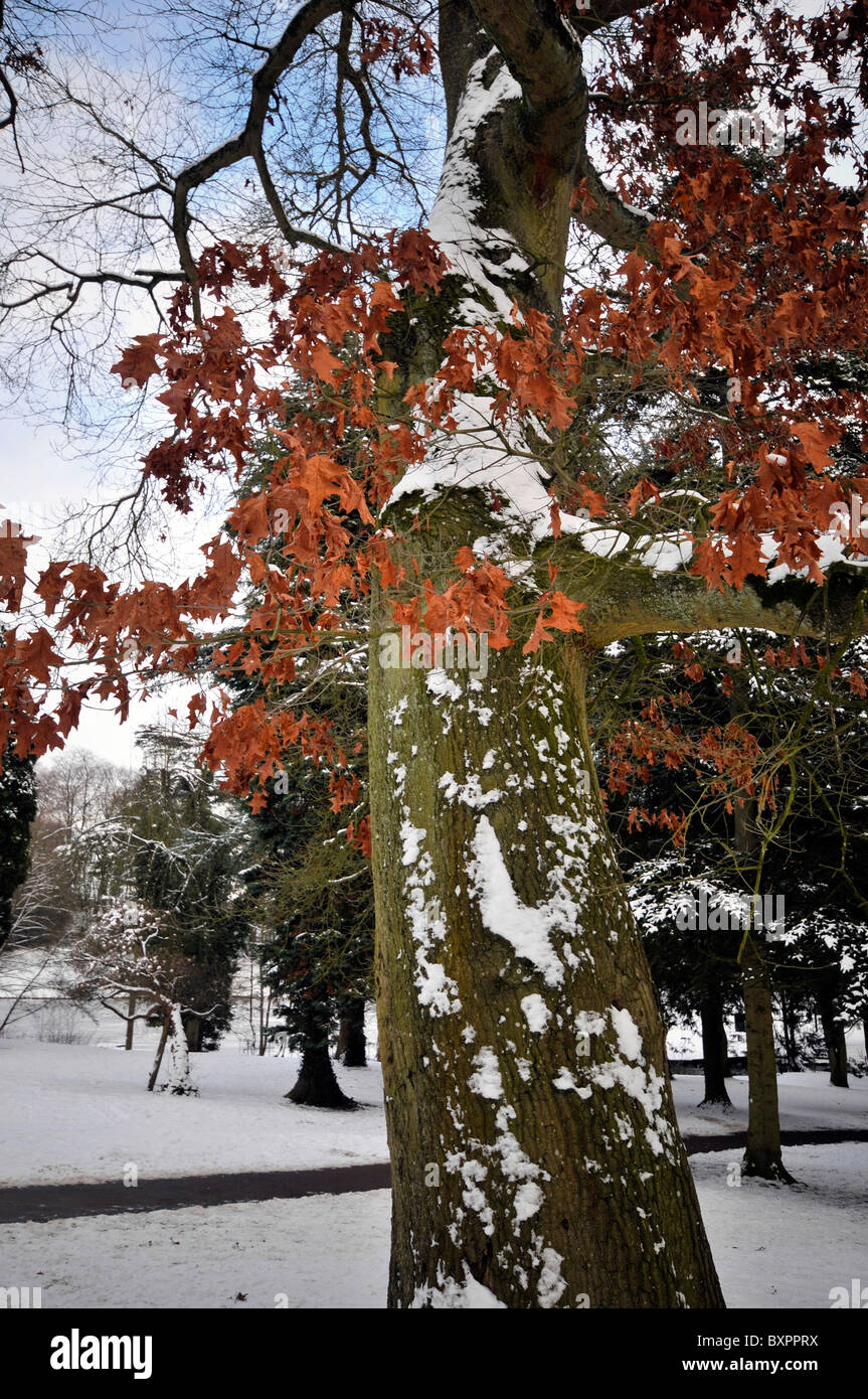 Stratford park stroud hi-res stock photography and images - Alamy