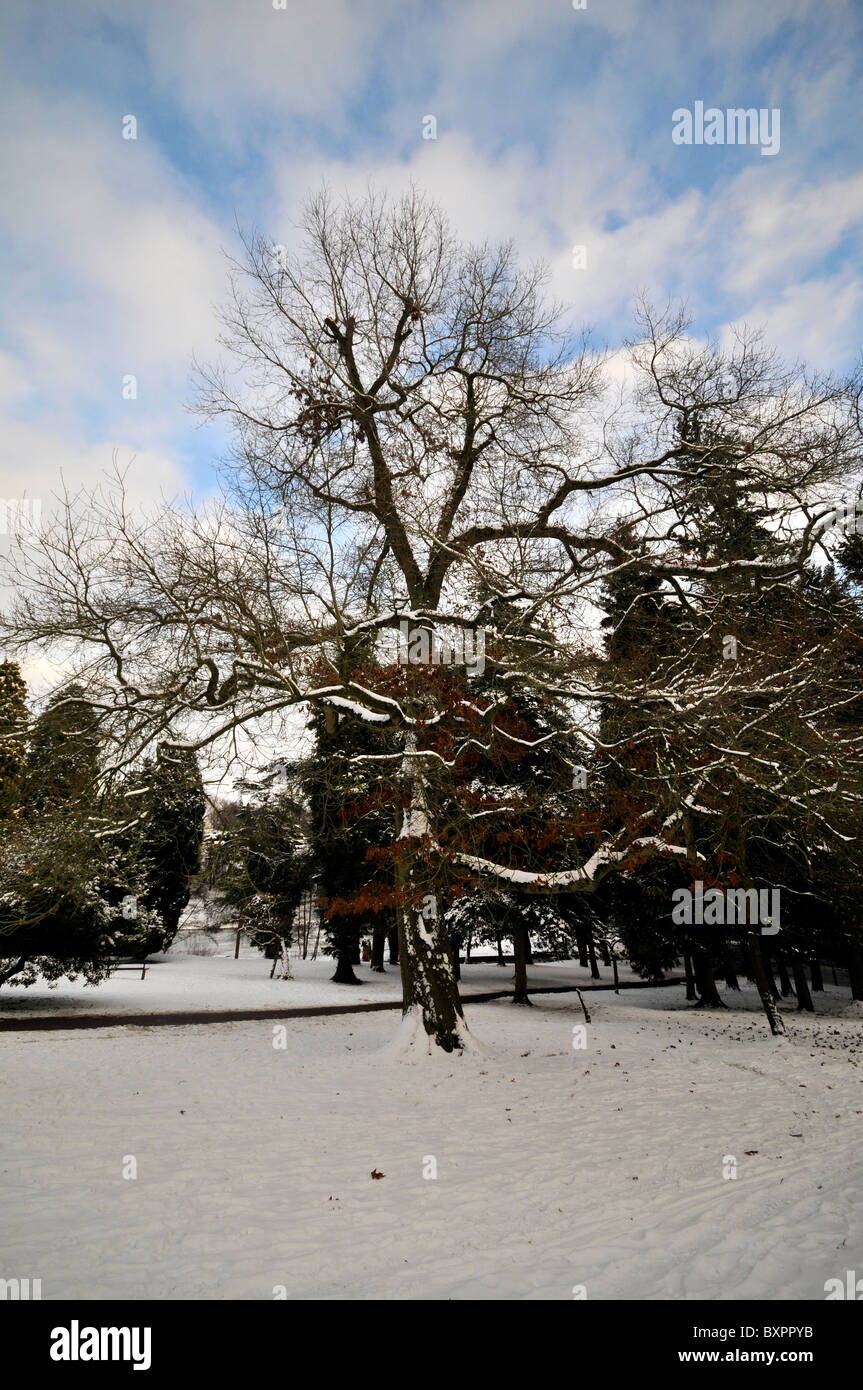 Stratford Park Stroud Gloucestershire UK Snow Stock Photo - Alamy