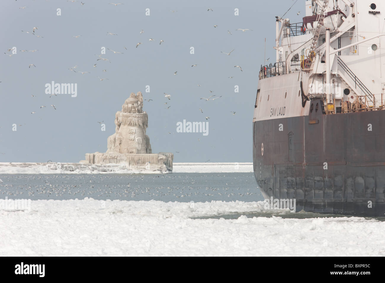 Sam laud hi-res stock photography and images - Alamy