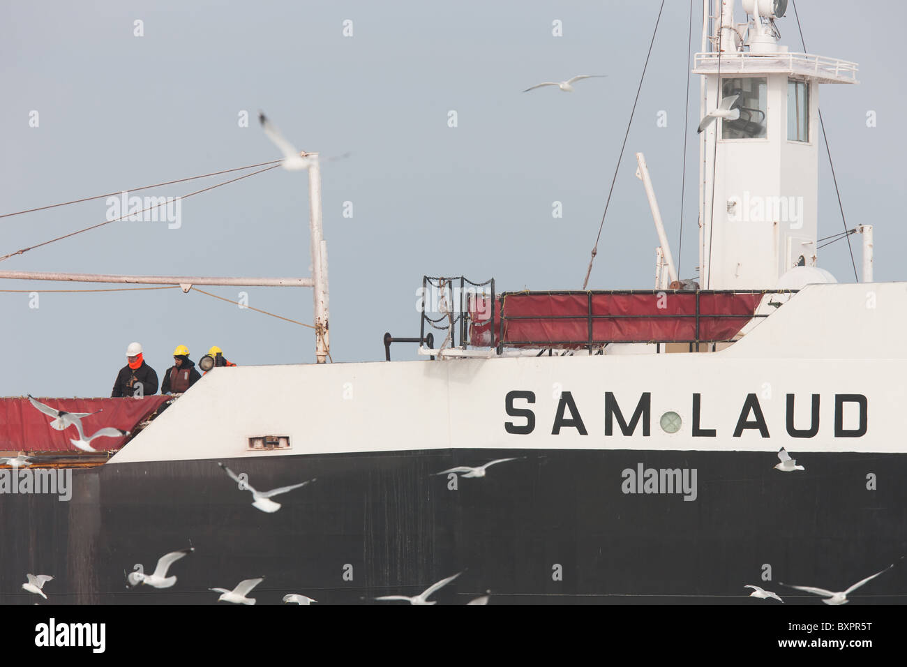 American steamship company hi-res stock photography and images - Alamy