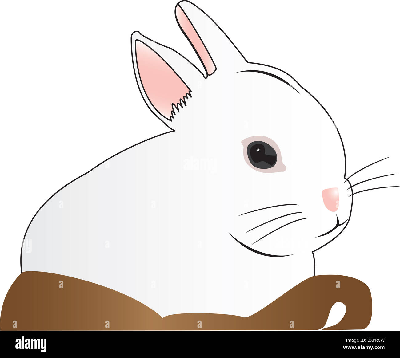 Illustrated line drawing of a white rabbit in a brown basket isolated ...
