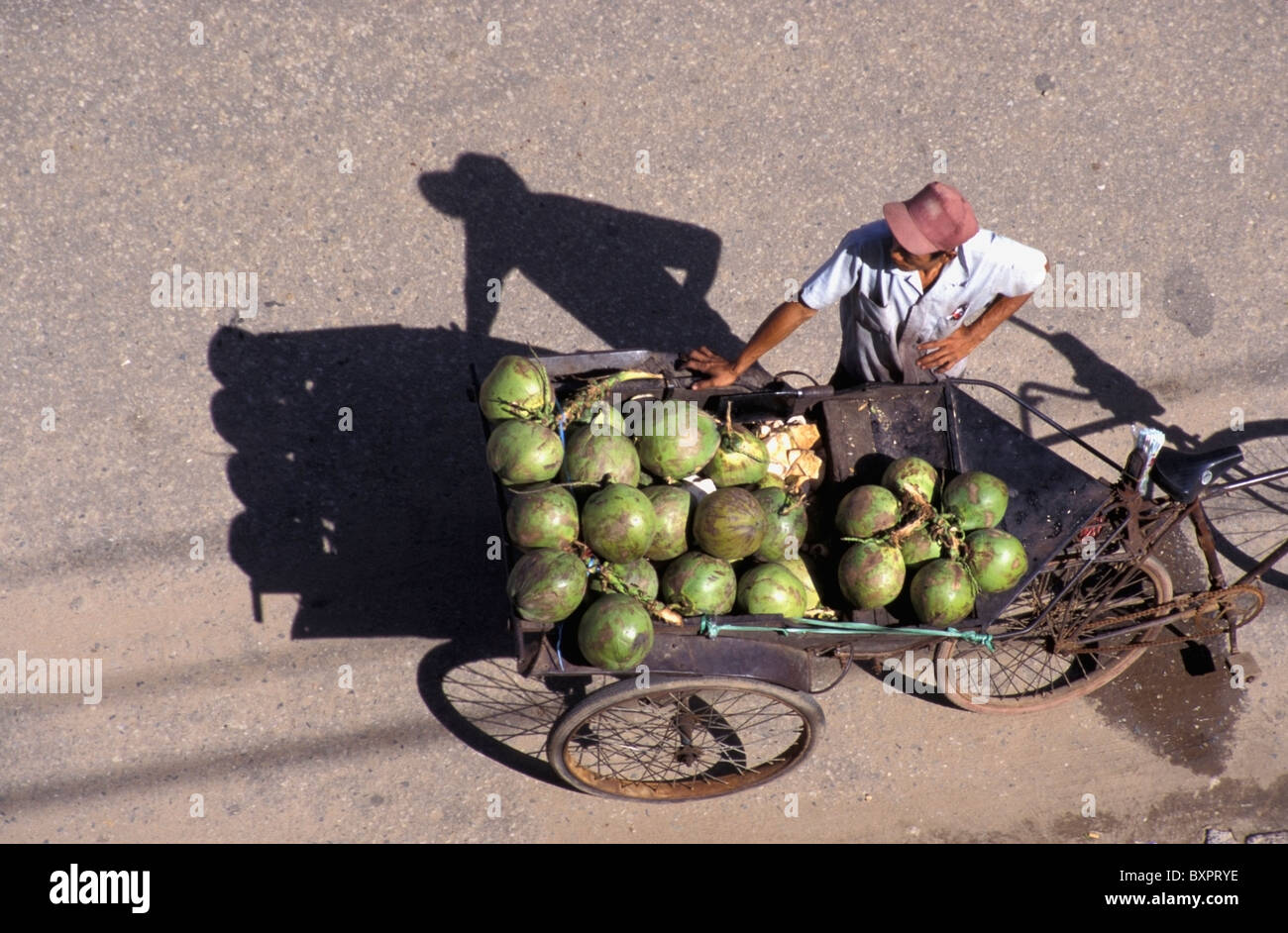 Coconut Vendor In Street Stock Photo - Alamy