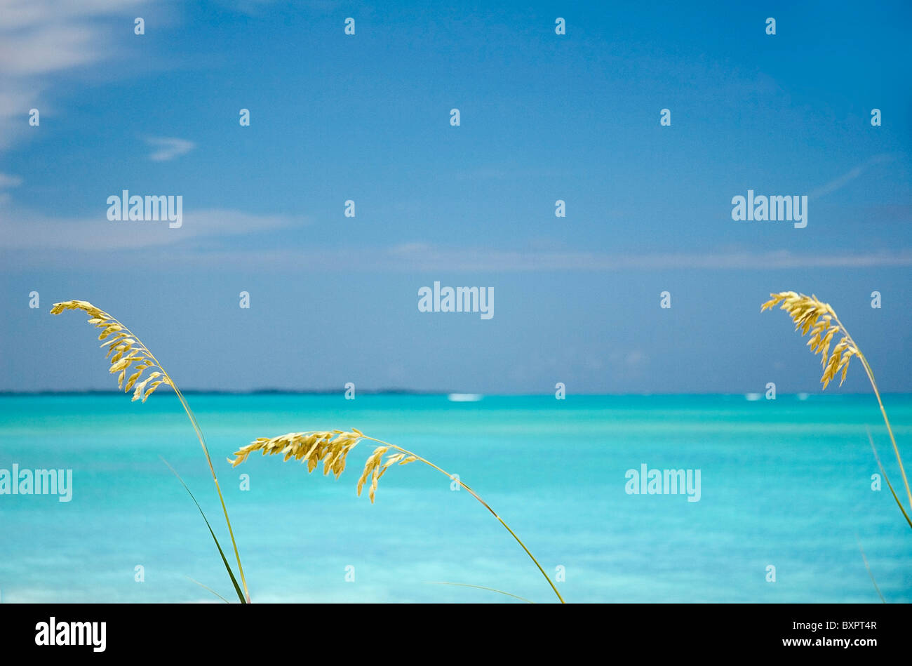 Idyllic Coastal Scene Stock Photo - Alamy