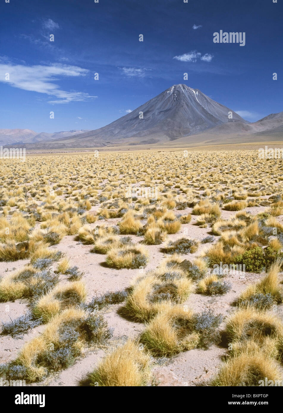 Andes deserts hi-res stock photography and images - Alamy
