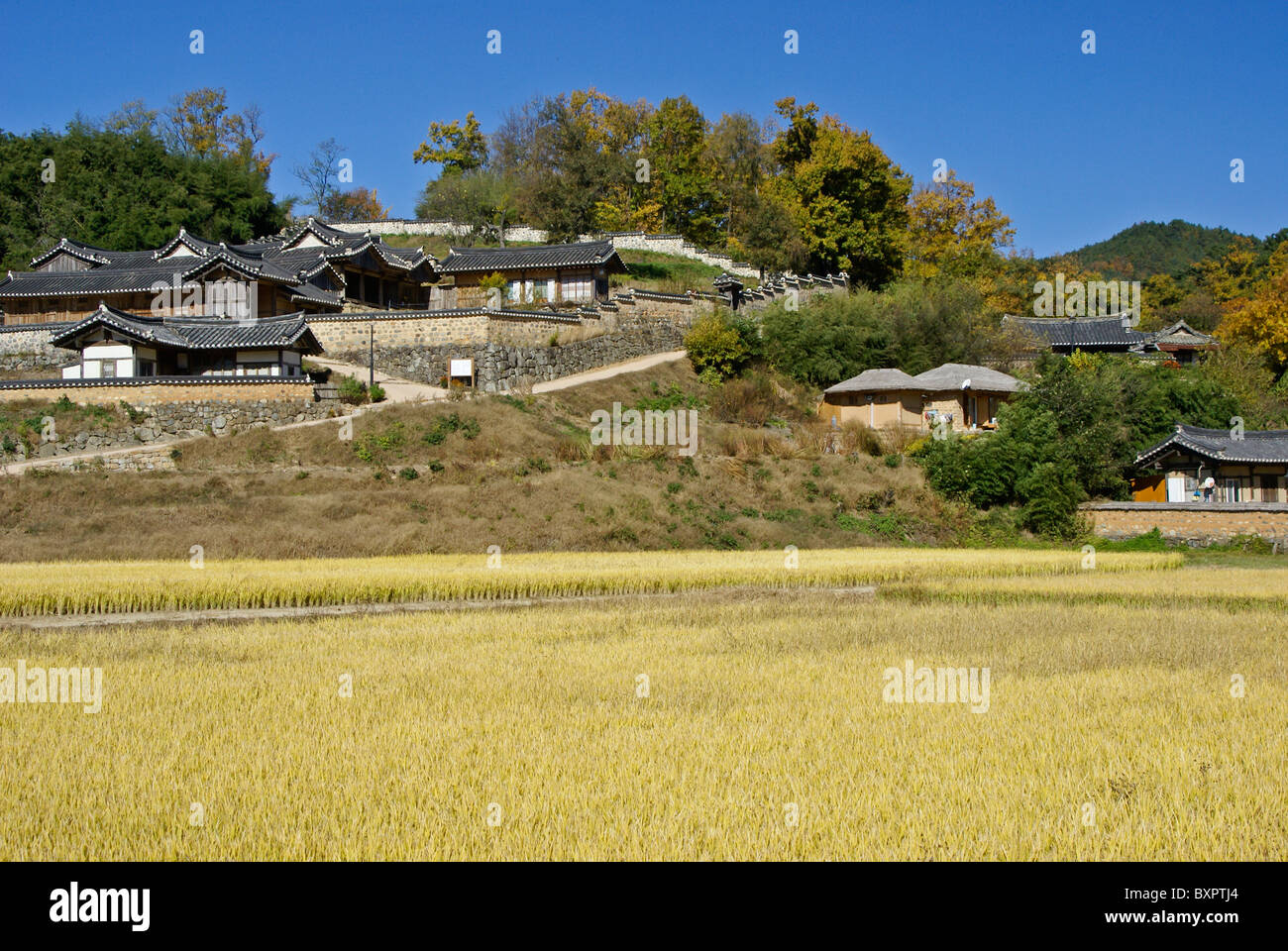 Yangdong village hi-res stock photography and images - Alamy