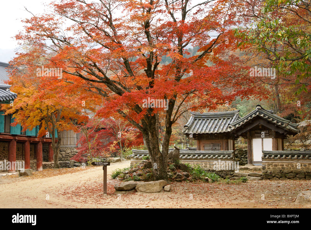Seonamsa Buddhist temple, Suncheon, South Korea Stock Photo - Alamy