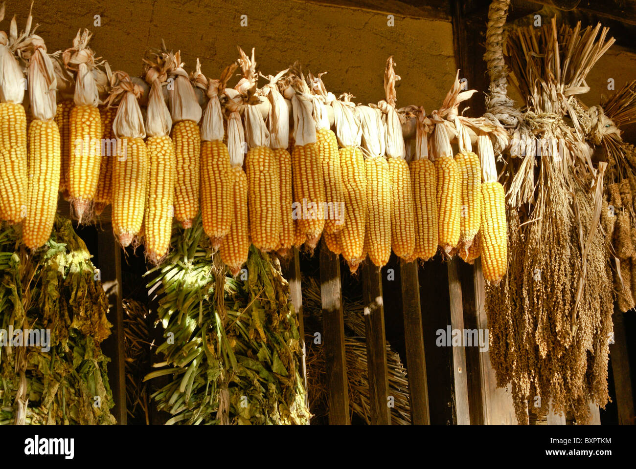 Drying vegetables, South Korea Stock Photo - Alamy