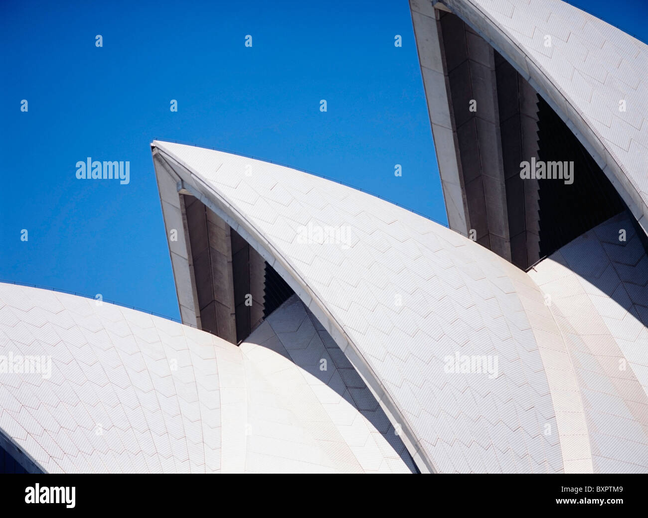 Detail Of The Roof Of The Sydney Opera House, Sydney, Close Up Stock ...