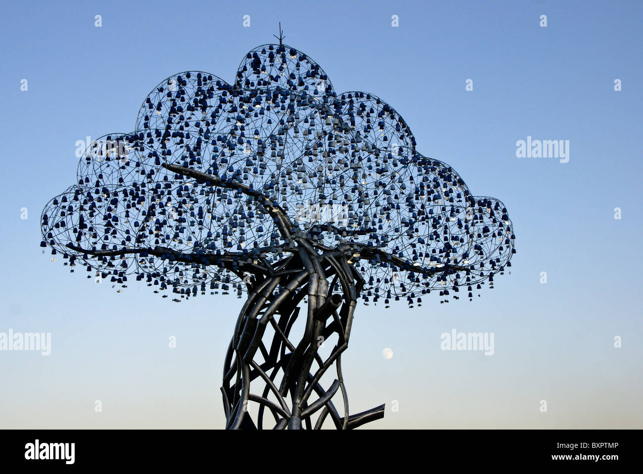 Korea tree High Resolution Stock Photography and Images - Alamy