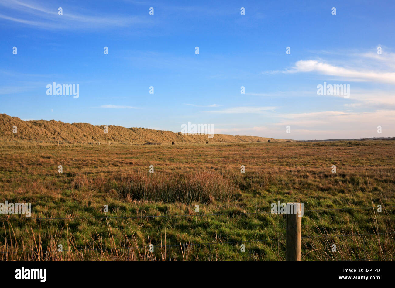 Fresh marshes inland of a line of sand dunes at Horsey, Norfolk ...