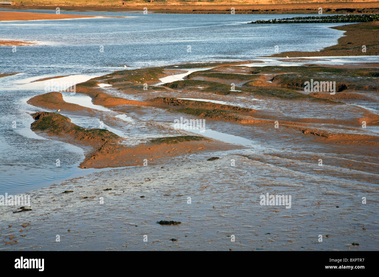 Channels and ridges revealed at low tide on the bed of Overy Creek ...