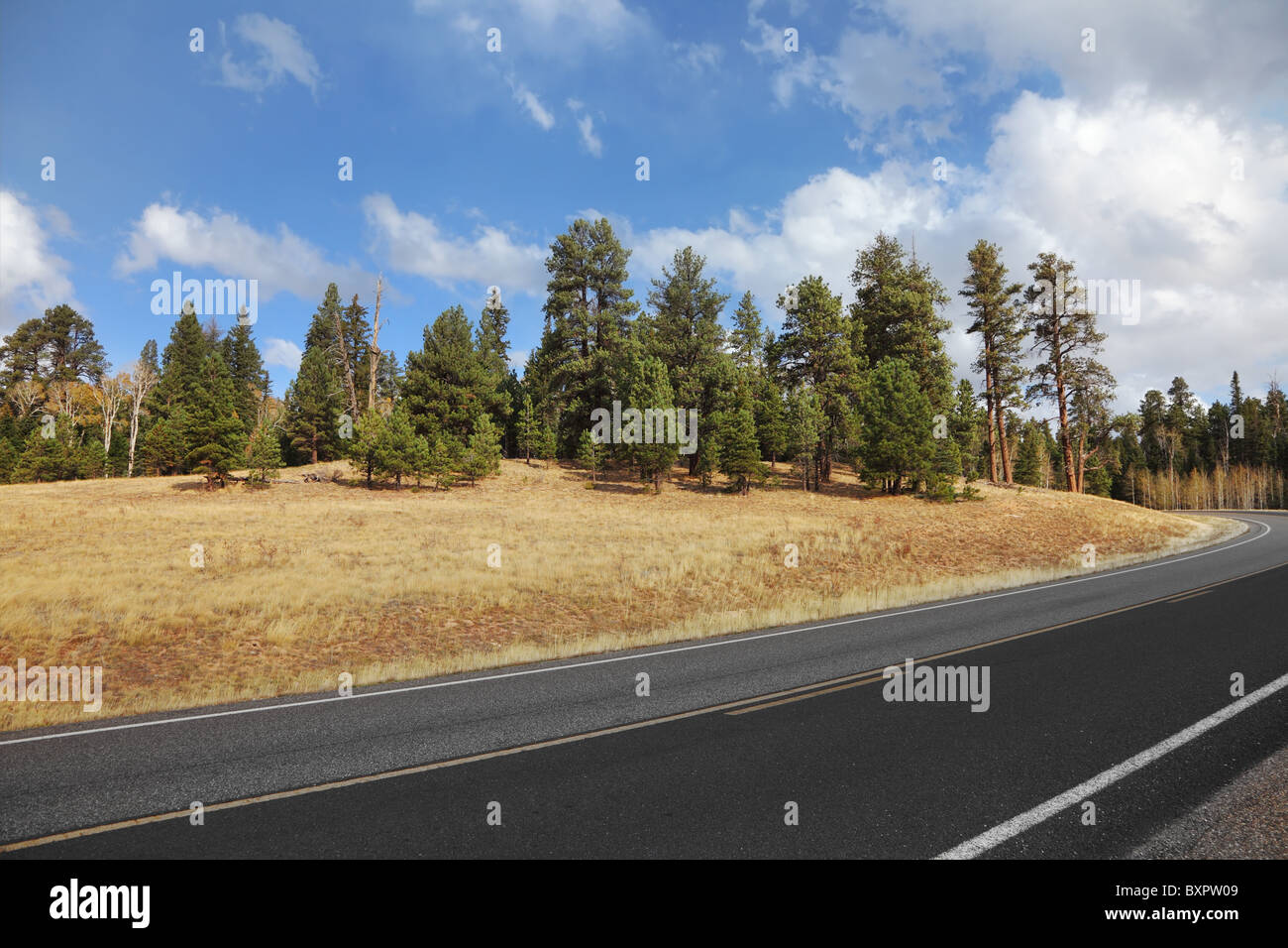 Road to the Grand Canyon. Autumn yellow fields and the magnificent ...