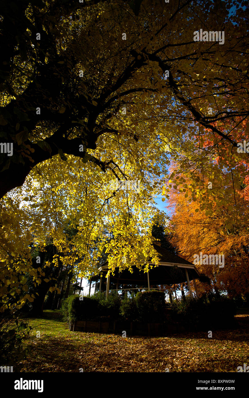 Stratford Park Stroud Gloucestershire UK Autumn Trees Leaves Stock ...