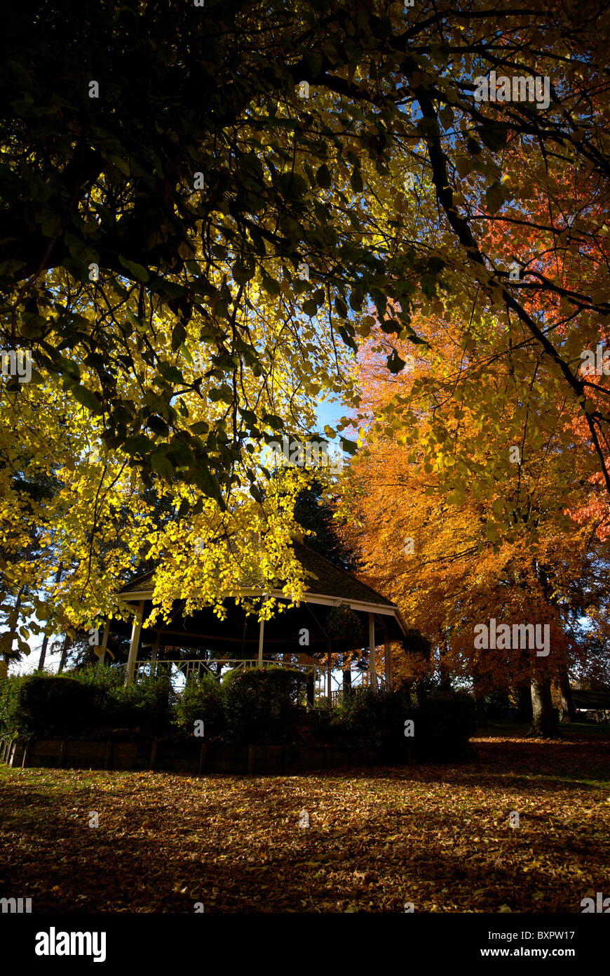 Stratford Park Stroud Gloucestershire UK Autumn Trees Leaves Stock ...