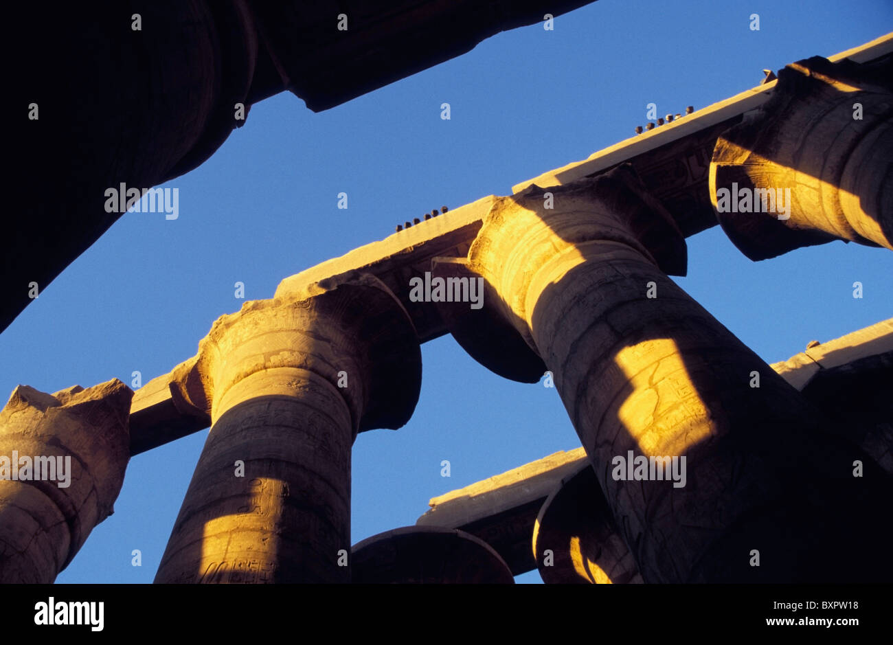 Pillars Of Great Hypostyle Hall, Low Angle View Stock Photo - Alamy