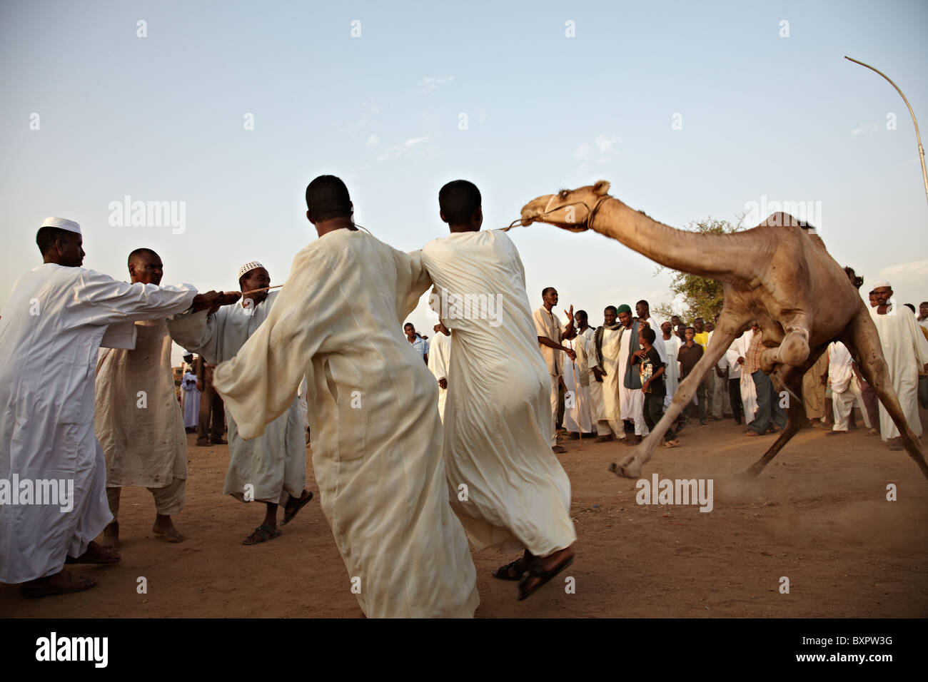 Mahdi sudan hi-res stock photography and images - Alamy