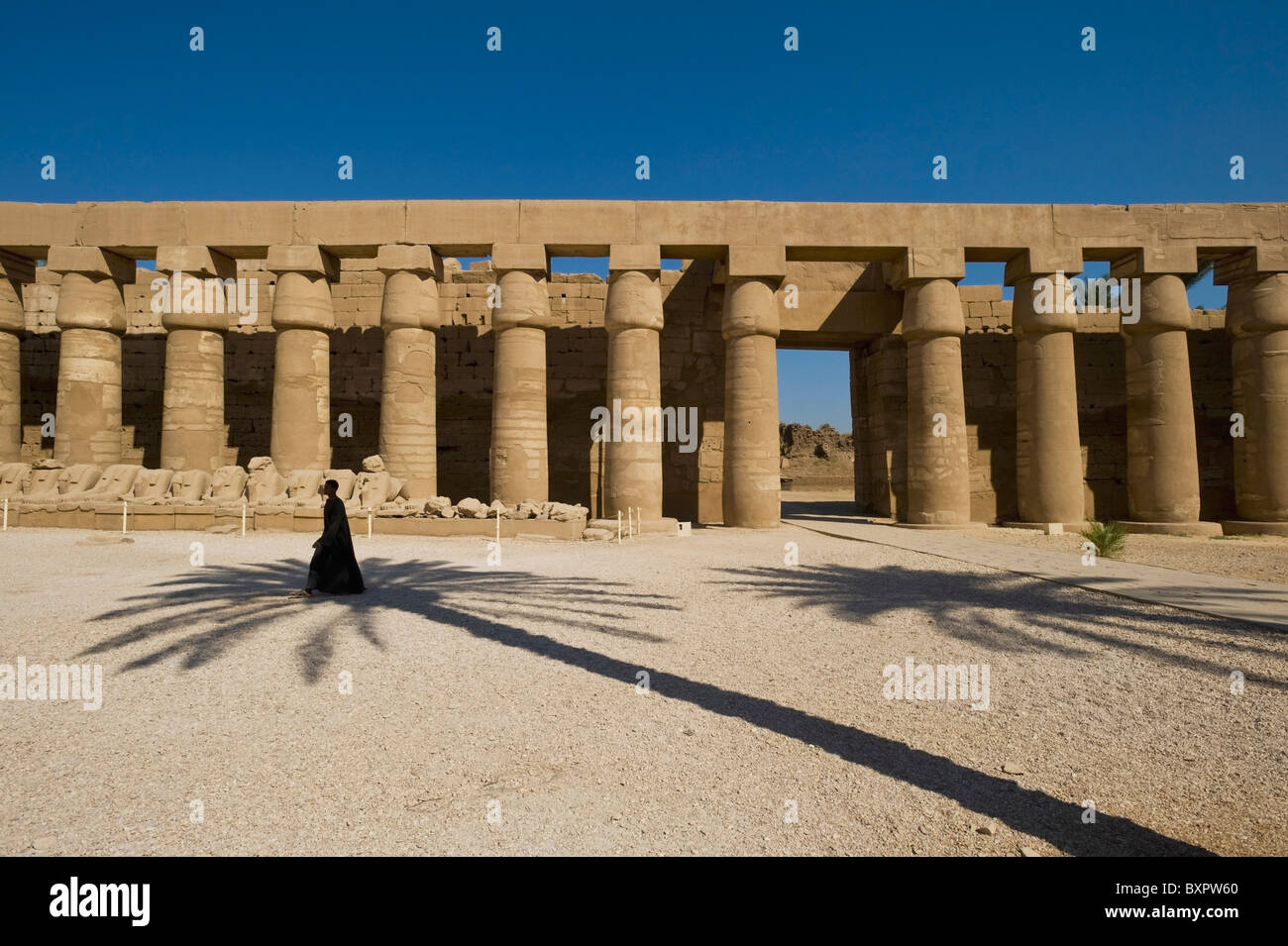 Date palm columns hi-res stock photography and images - Alamy