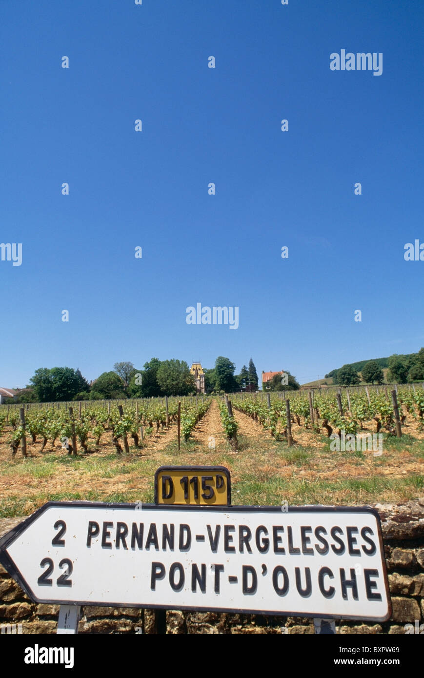 Burgundy Vineyards With Road Sign Stock Photo - Alamy