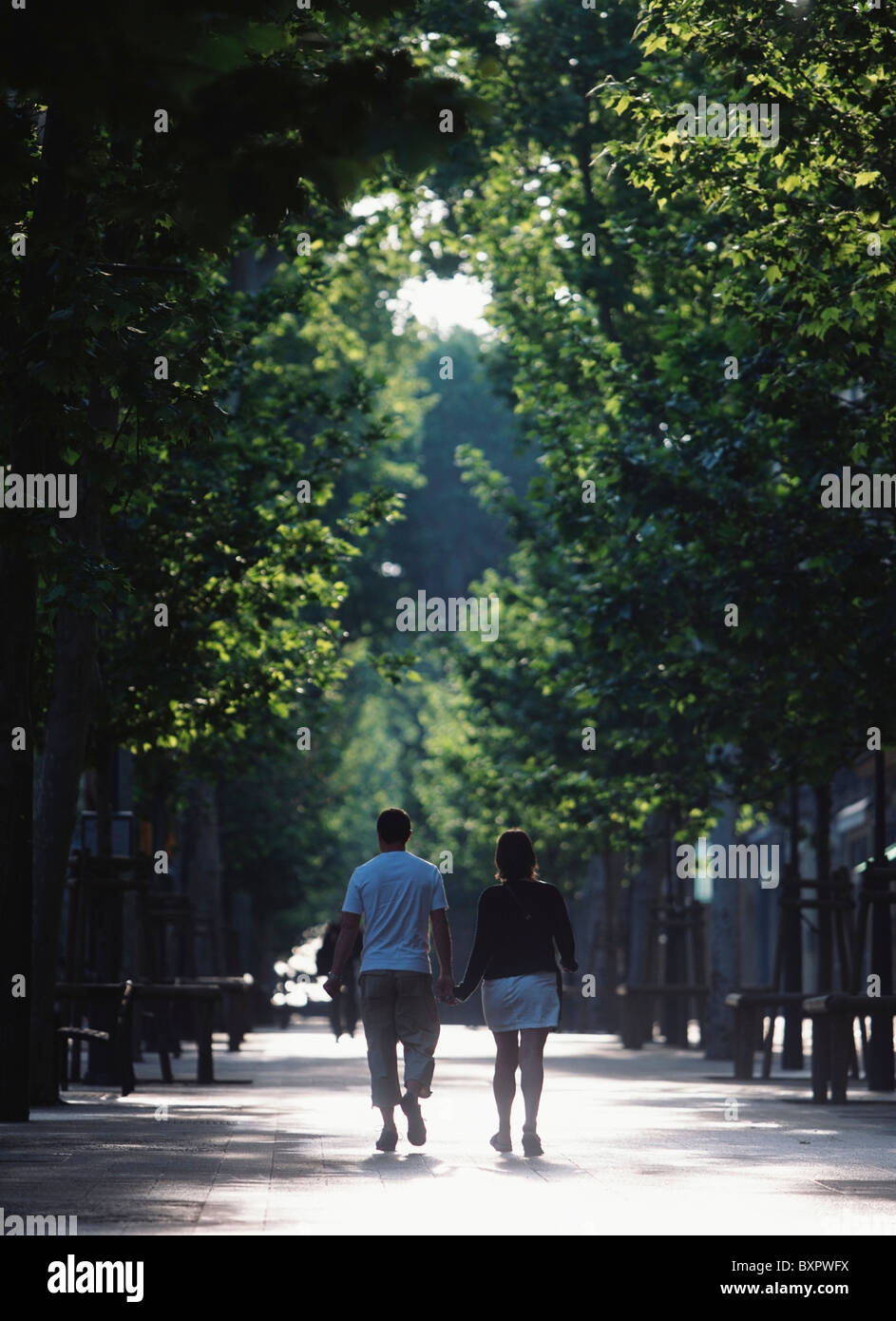 Man walking down tree lined hi-res stock photography and images - Alamy