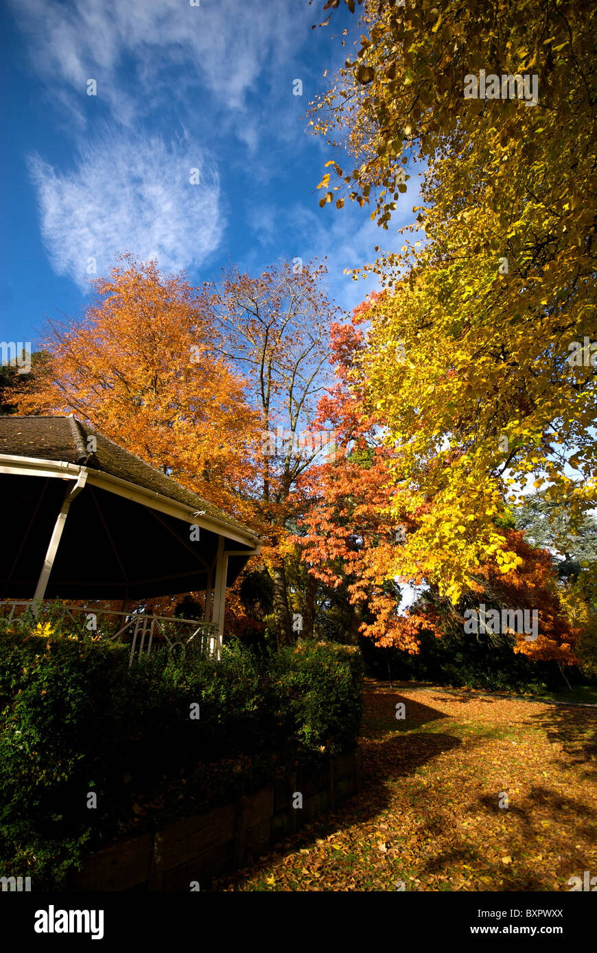 Stratford Park Stroud Gloucestershire UK Autumn Trees Leaves Stock ...