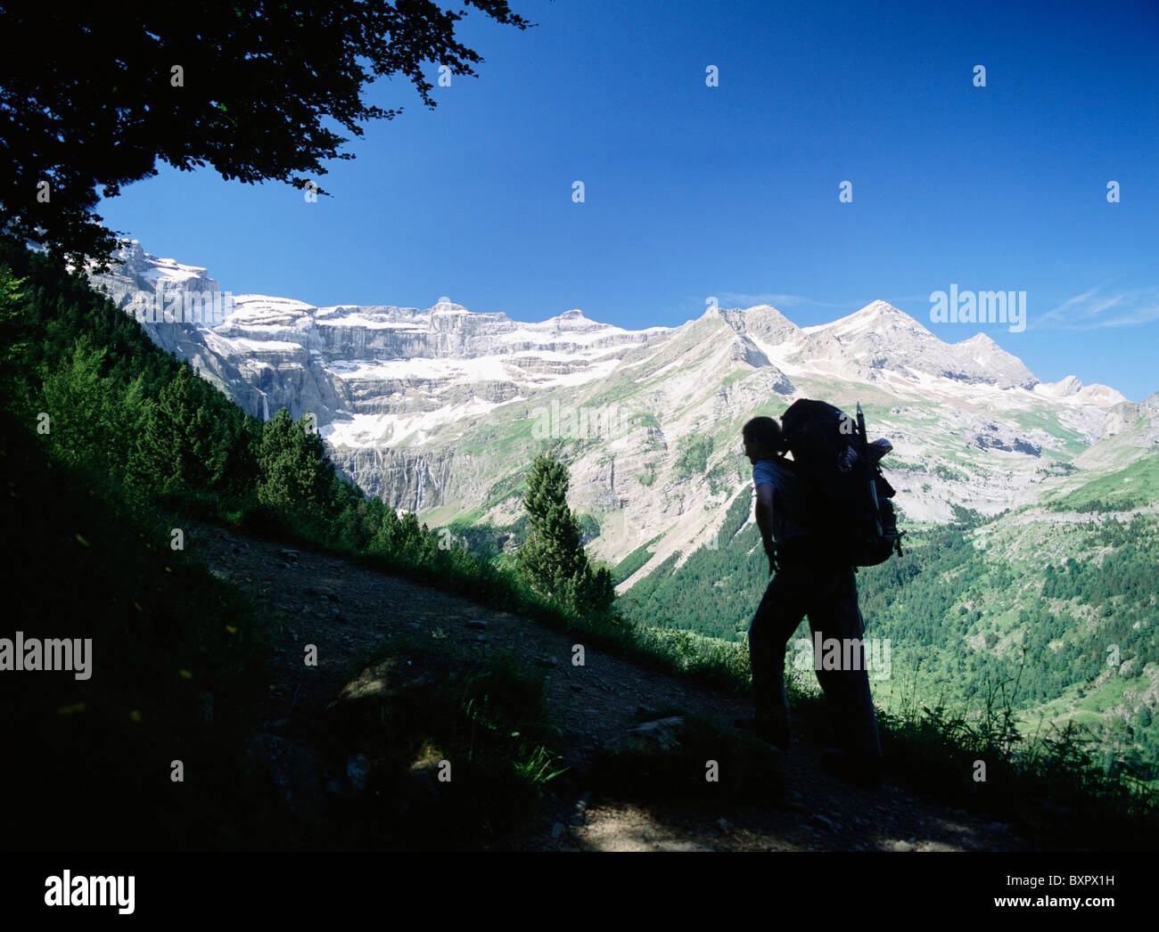 Walker Climbing Up Path In Woods In The Pyrenees Stock Photo - Alamy
