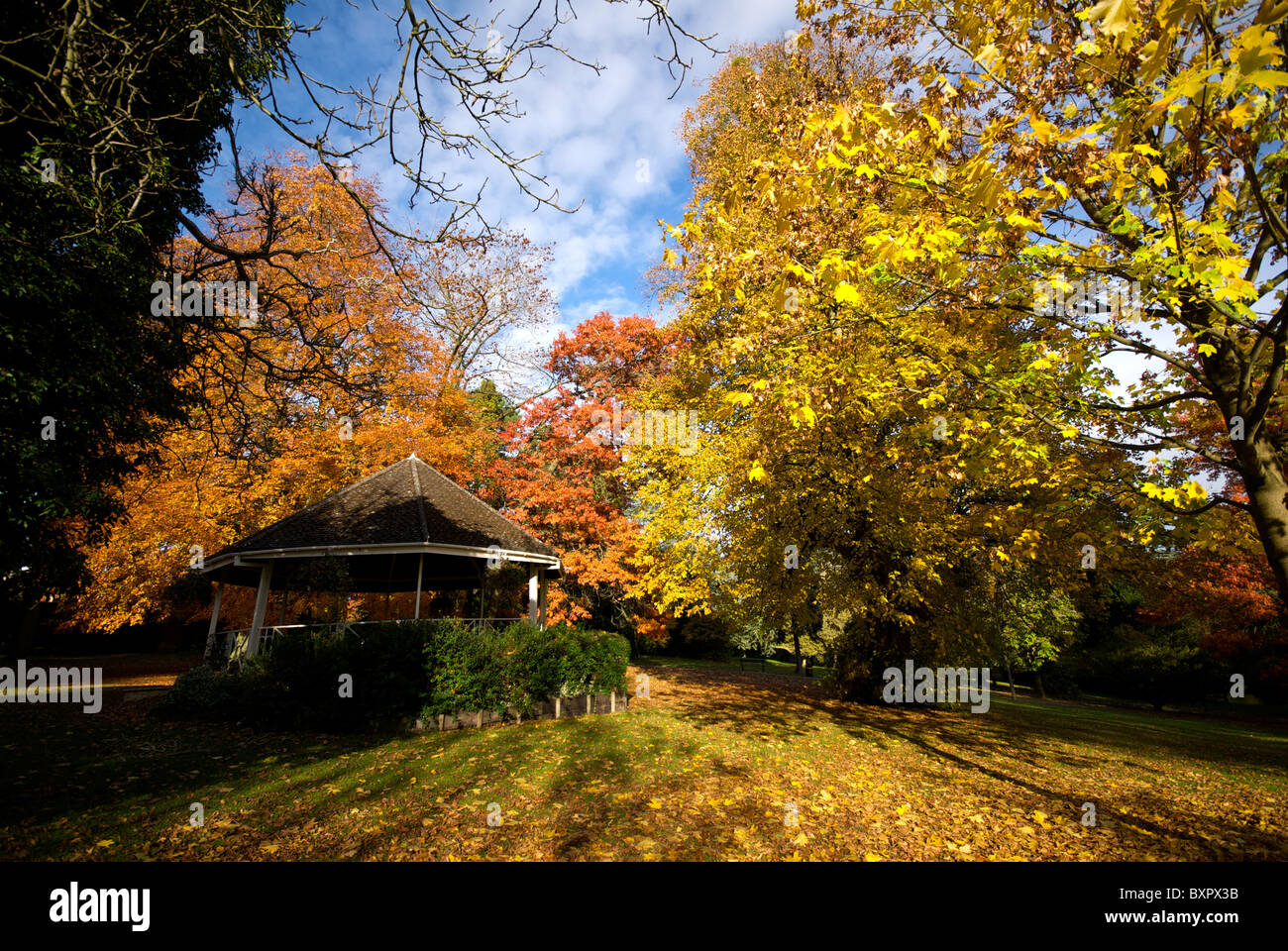 Stratford Park Stroud Gloucestershire UK Autumn Trees Leaves Stock ...
