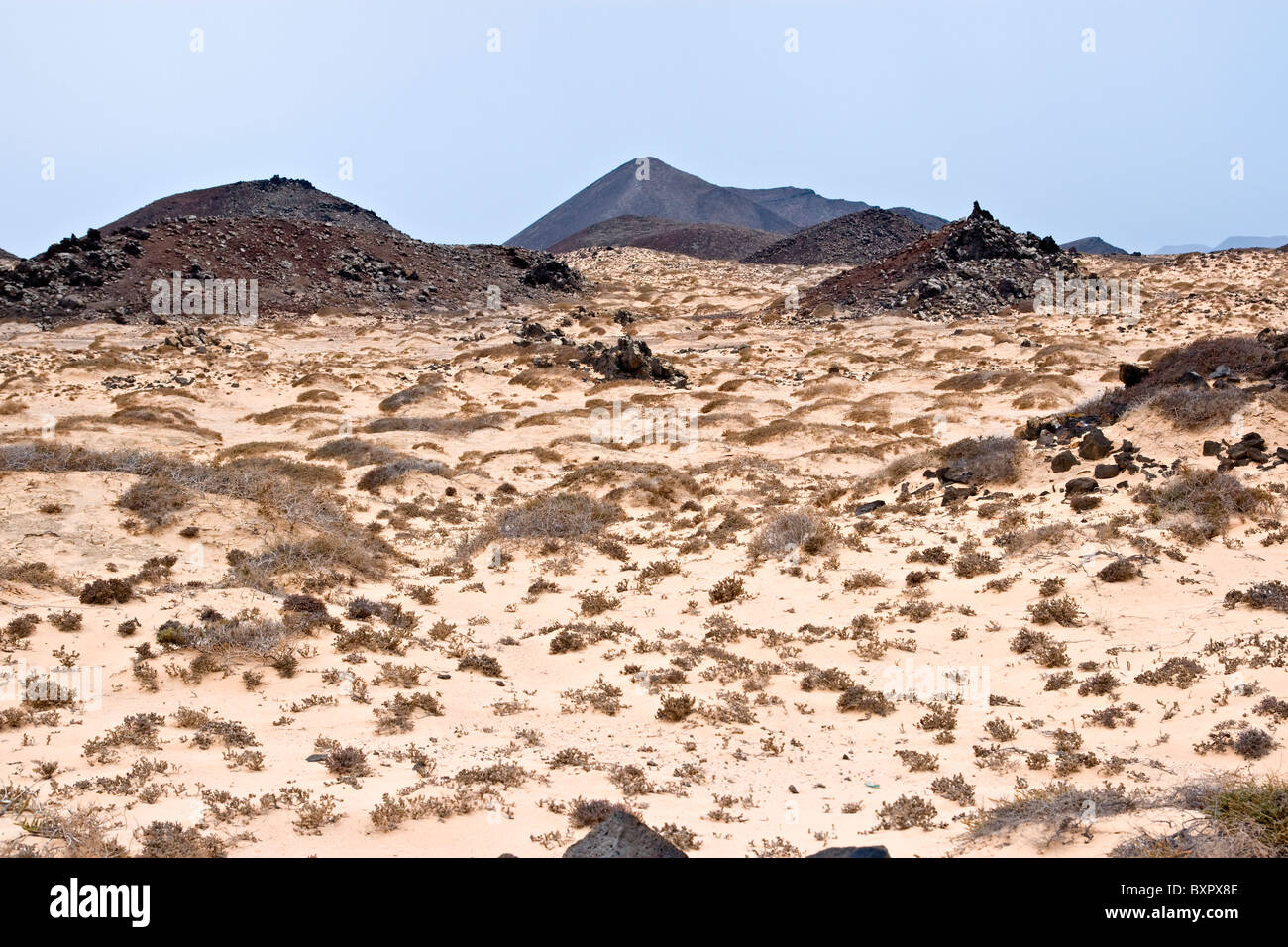 Lobos island hi-res stock photography and images - Alamy