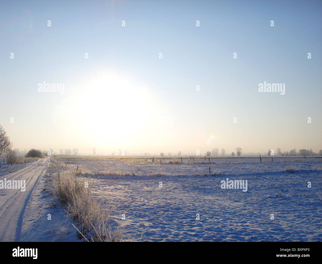 Frozen field hi-res stock photography and images - Alamy