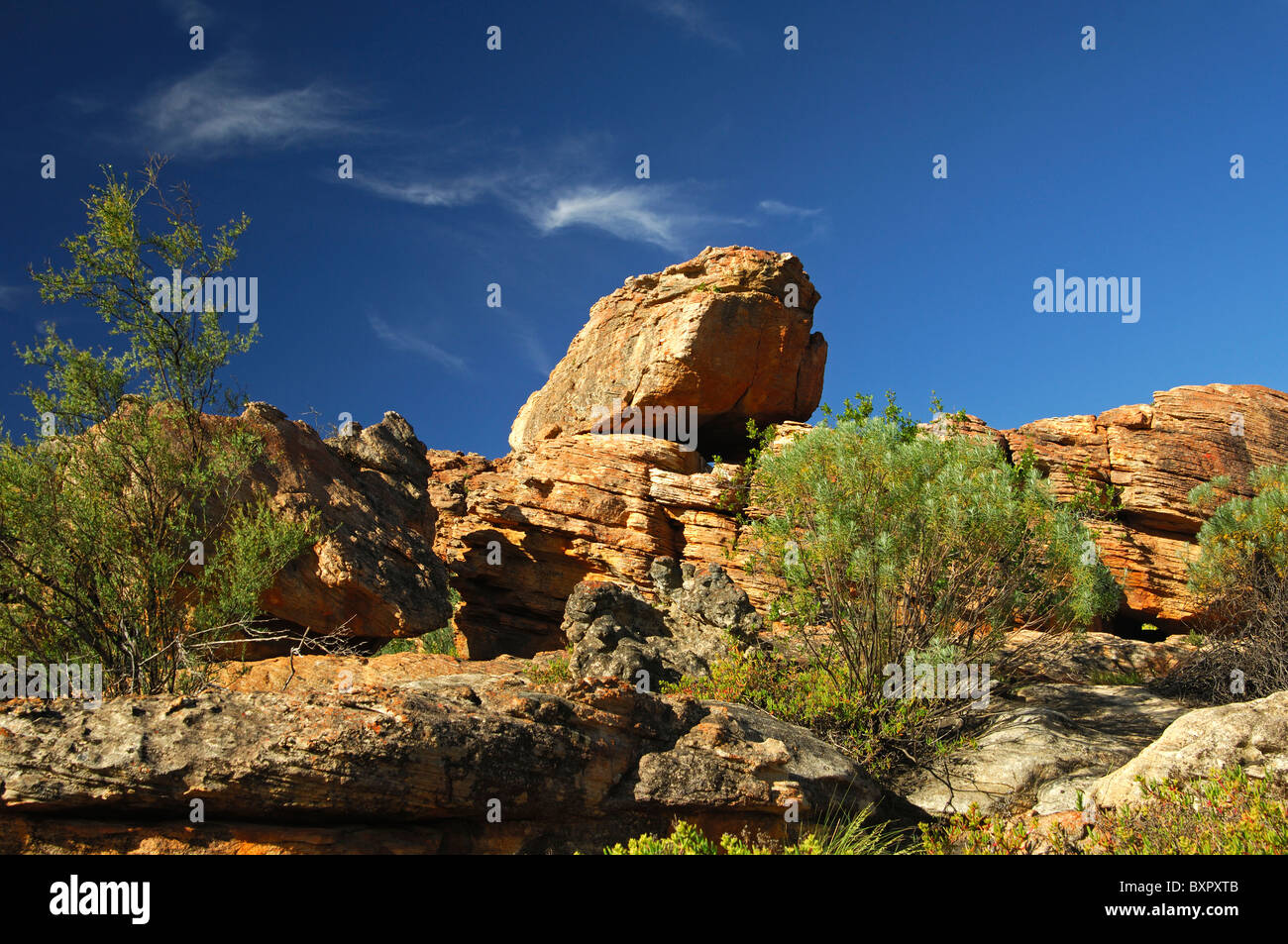 Cederberg south africa hi-res stock photography and images - Alamy
