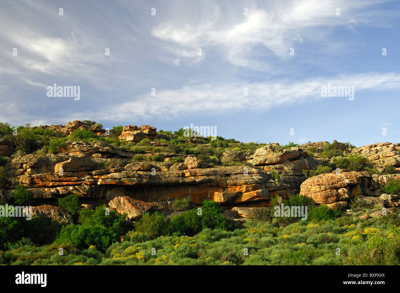Eroded sandstone formations in the Cederberg Mountains, Western Cape ...