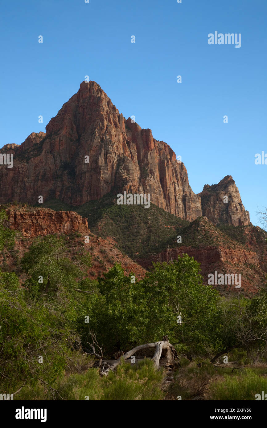 The Watchman mountain in Zion Canyon National Park near Springdale Utah ...