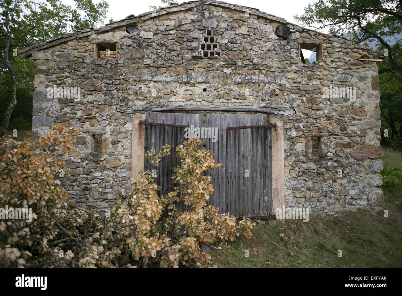 The front of a derelict stone building with felled oak branches in ...