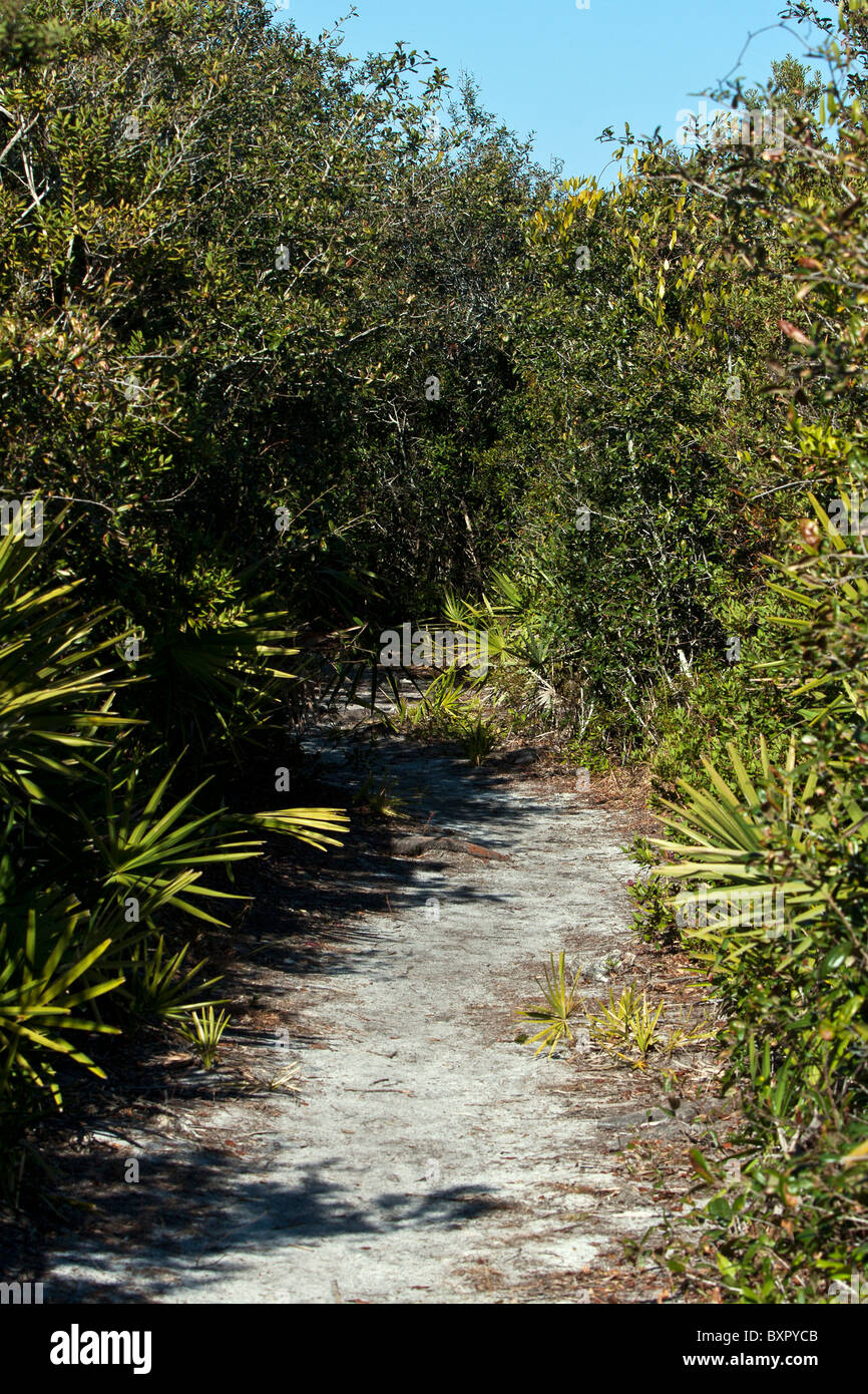 The start of a Florida hiking trail in Washington Oaks Garden state ...