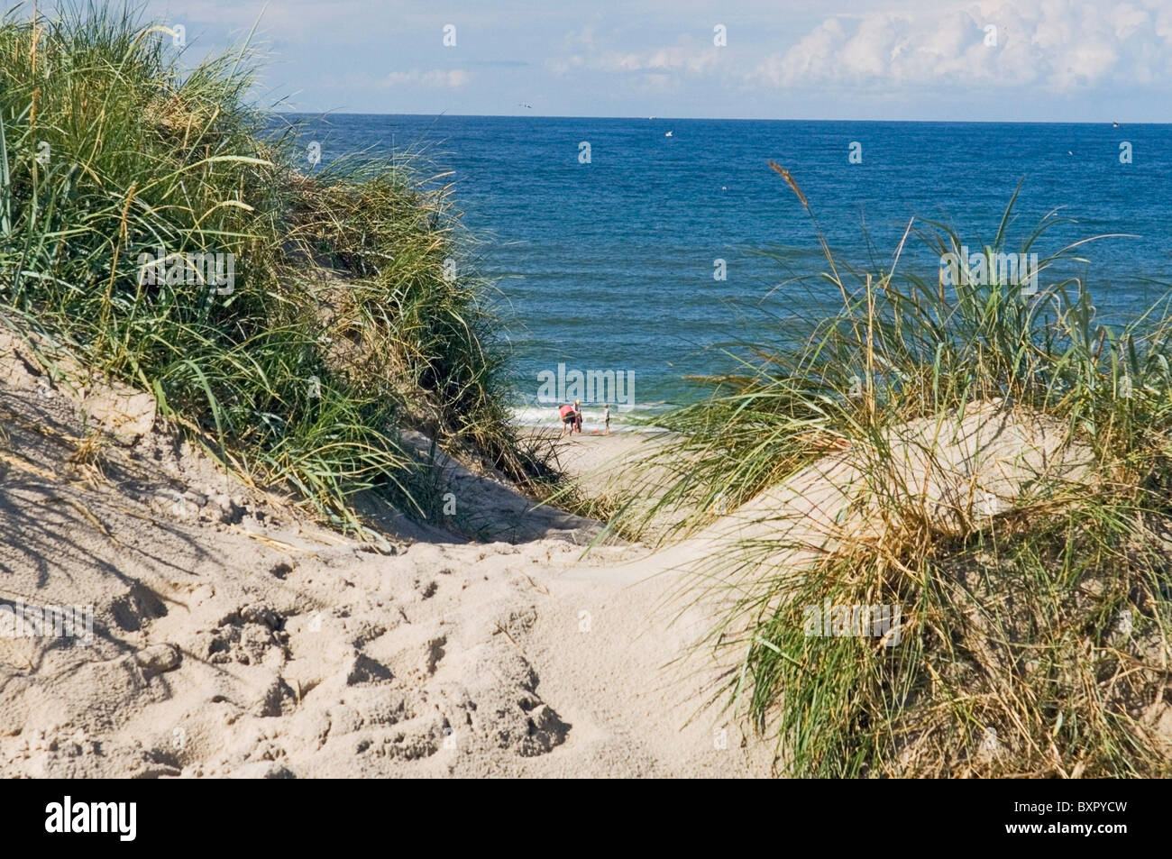 Path Through Sand Dune In West Jutland Stock Photo - Alamy