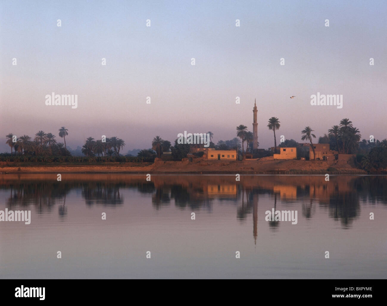 Mosque On Banks Of Nile River Stock Photo - Alamy